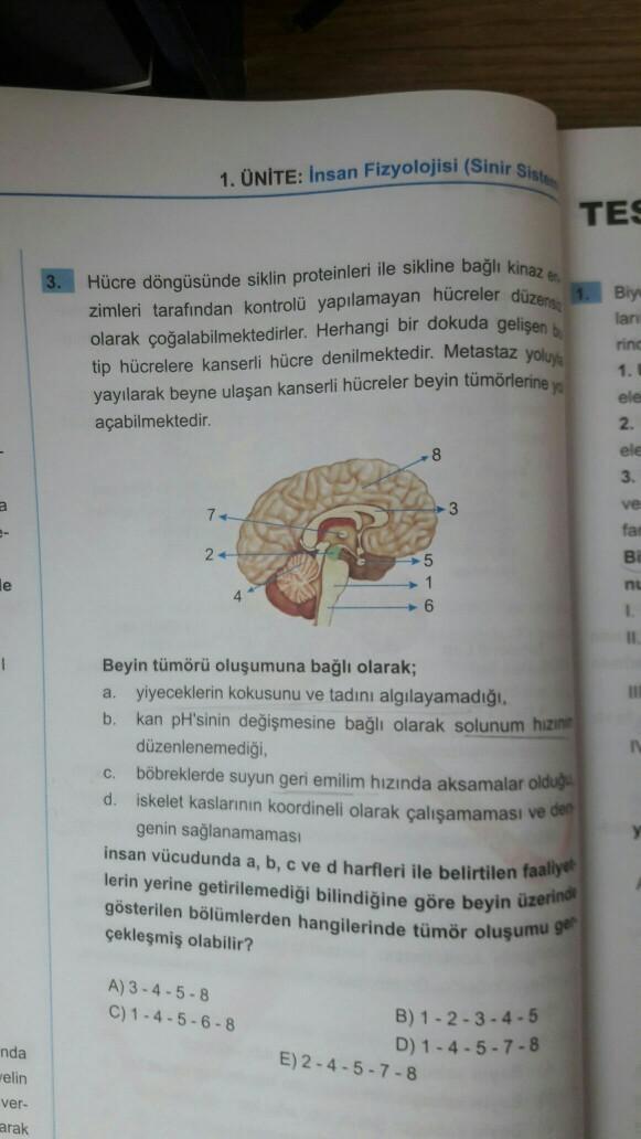 a le 1 nda welin ver- arak 1. ÜNİTE: Insan Fizyolojisi (Sinir Siste 1 ...