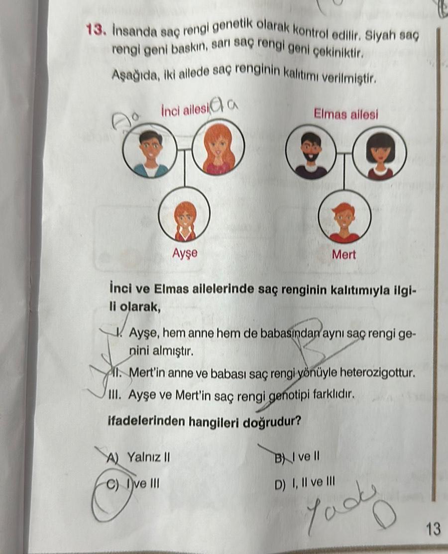 13. İnsanda saç rengi genetik olarak ko... - Ortaokul Fen Bilgisi