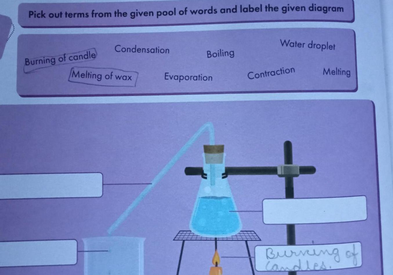 ANSWERED Pick Out Terms From The Given Pool Of Wor Physical ANSWERED Pick Out Terms From The Given Pool Of Wor Physical