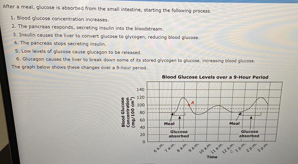 [ANSWERED] After a meal glucose is absorbed from the small intestine ...