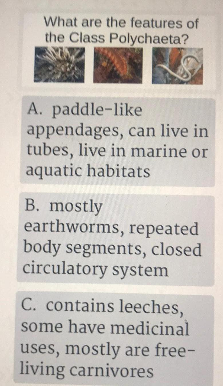 [ANSWERED] What are the features of the Class Polychaeta A paddle like ...