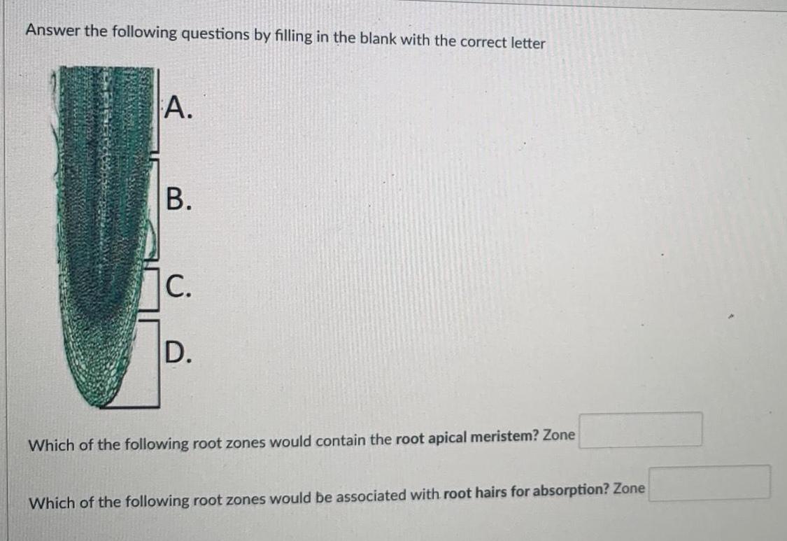 ANSWERED Answer The Following Questions By Filling In The Bla ANSWERED Answer The Following Questions By Filling In The Bla