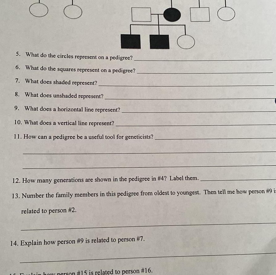 ANSWERED O O 5 What Do The Circles Represent On A Pedigree 6 ANSWERED O O 5 What Do The Circles Represent On A Pedigree 6